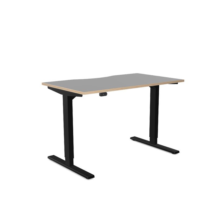 Height Adjustable Desk | Free Installation | Standing Desk – THATSMYOFFICE